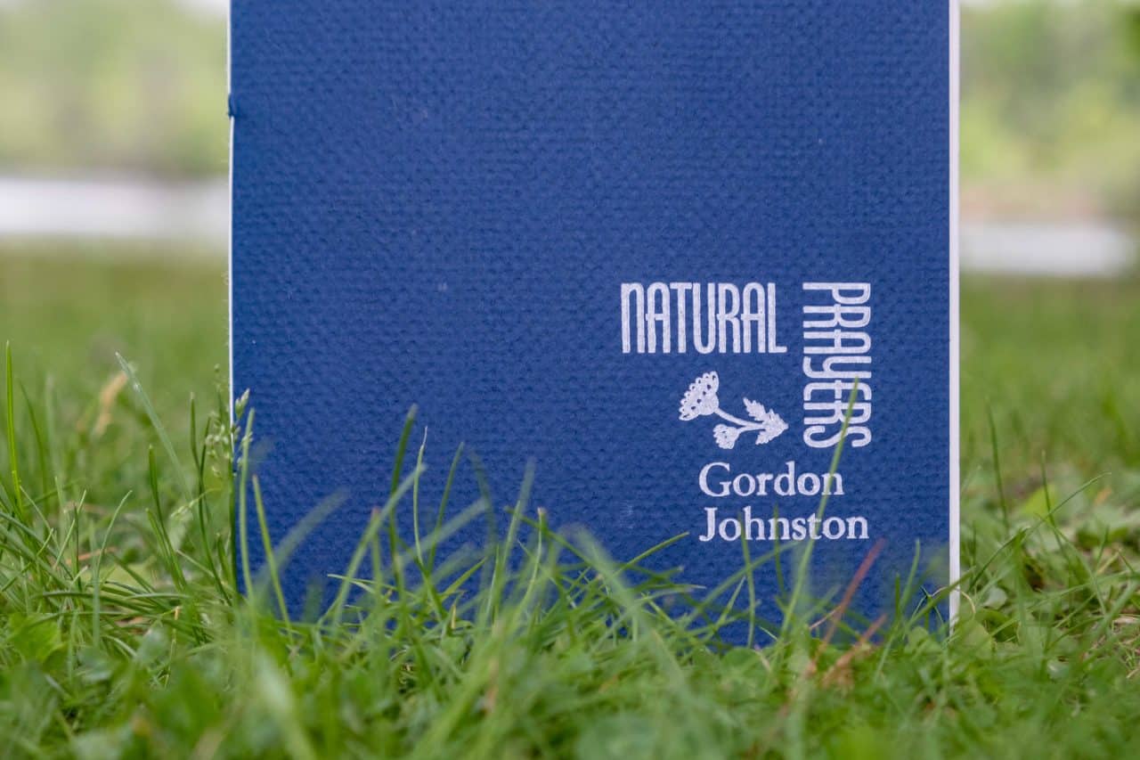 Gordon Johnston pens playful and attentive portraits of the non-human ...